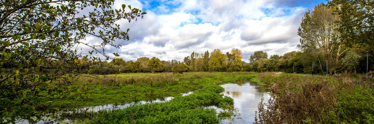 Land Use & Green Infrastructure case studies | Essex Climate Commission