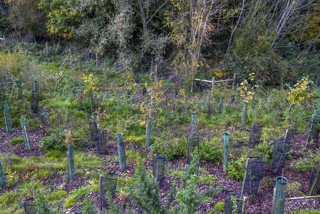 Outdoors | Essex Climate Commission